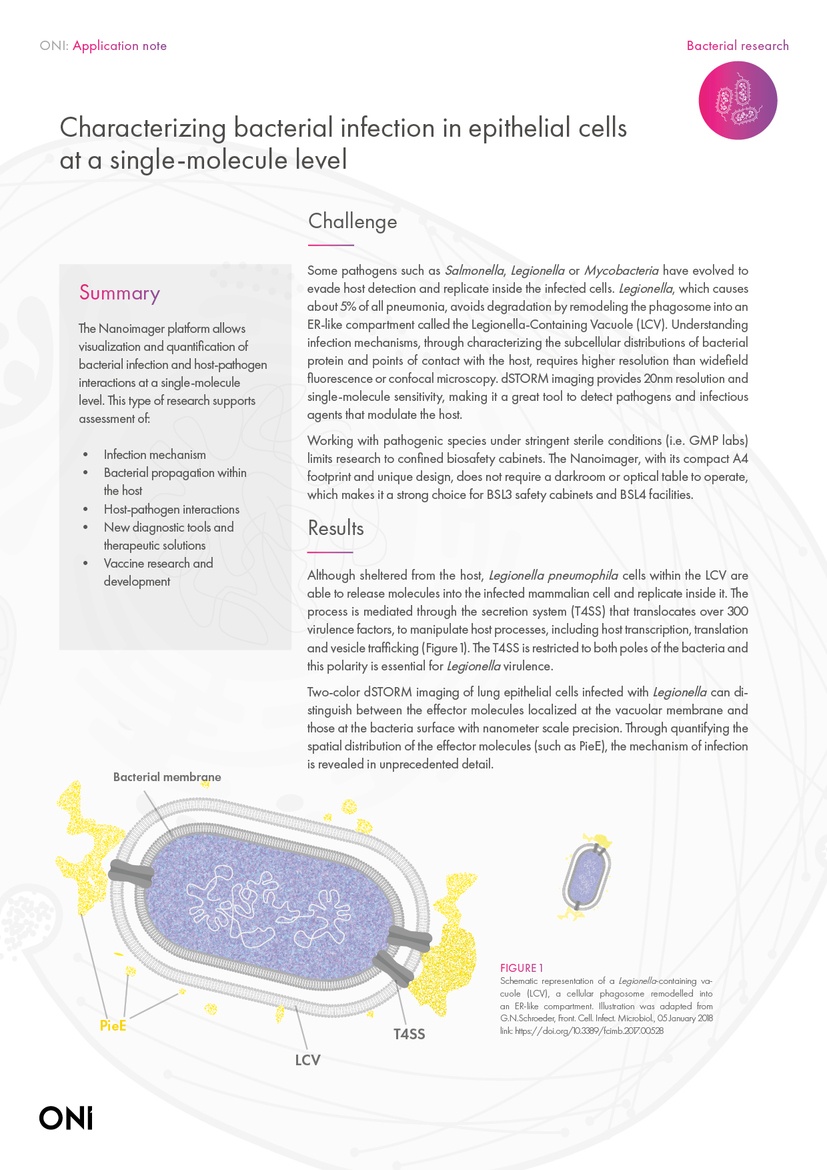 Characterizing bacterial infection in epithelial cells at a single ...