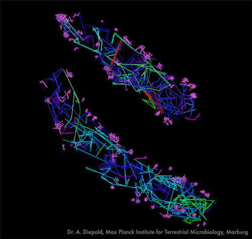 PALM microscopy | ONI