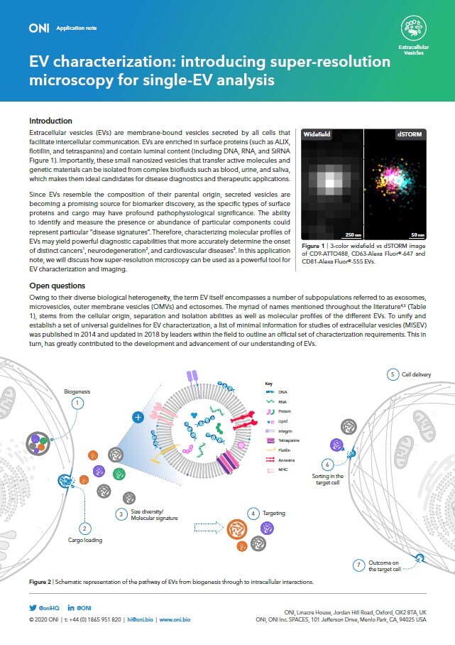 EV characterization: Introducing super-resolution microscopy for single-EV analysis | ONI