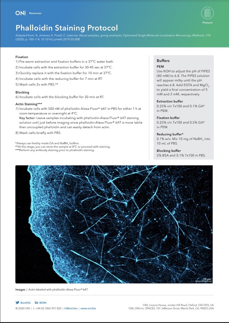 Phalloidin staining protocol for dSTORM | ONI