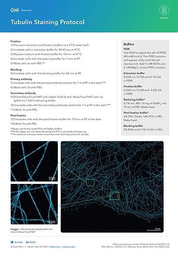Tubulin Staining Protocol for Super-Resolution Imaging | ONI
