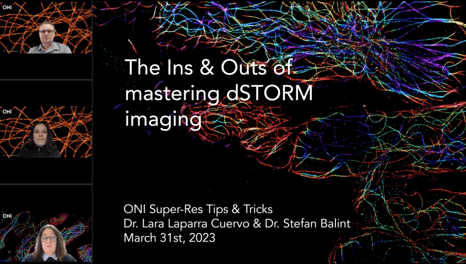 The Ins and Outs of dSTORM Imaging | ONI