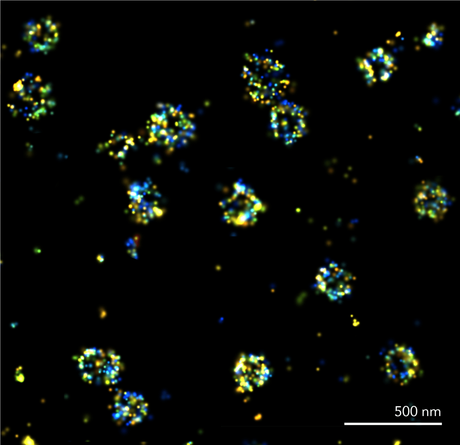 Super Resolution Microscopy | ONI