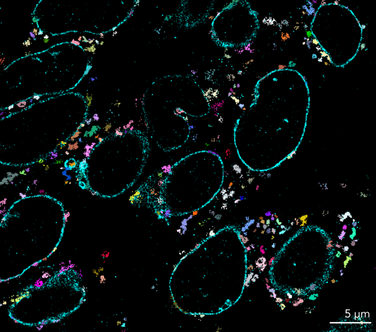 STORM microscopy | ONI