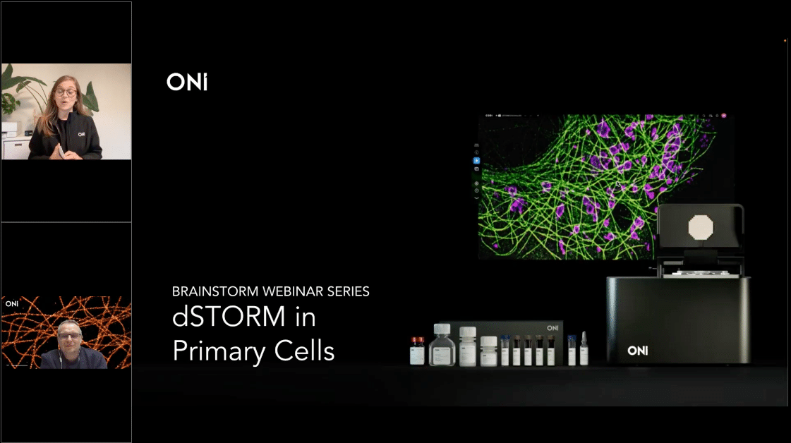 dSTORM in Primary Cells | ONI