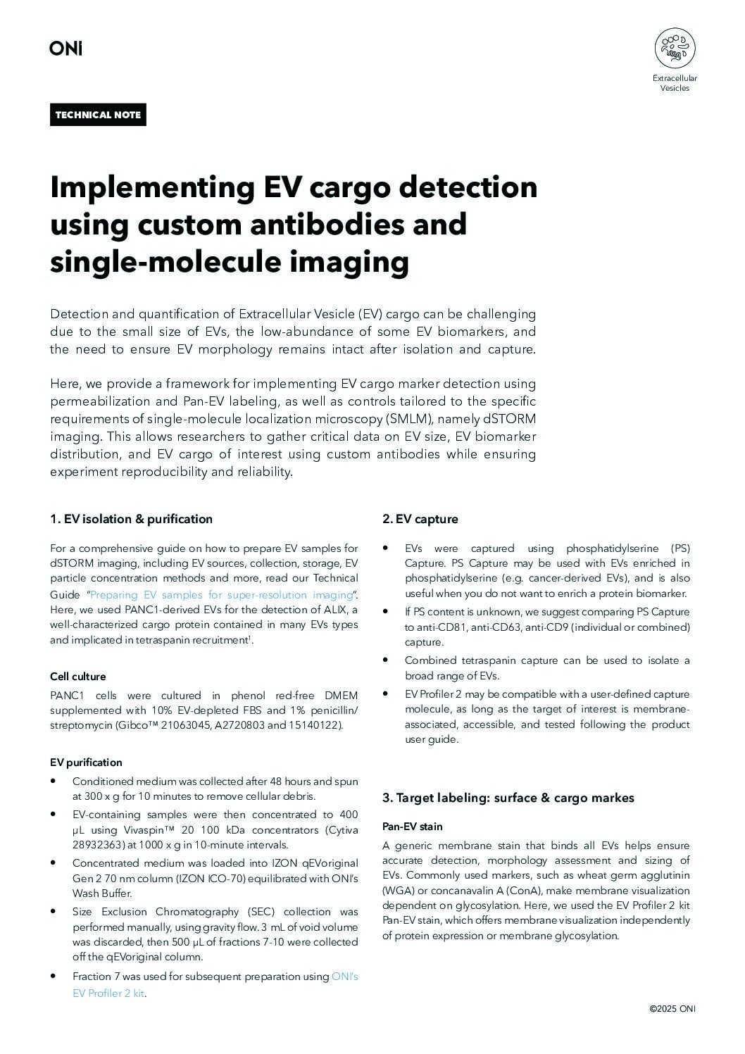 Implementing EV cargo detection using custom antibodies and single ...